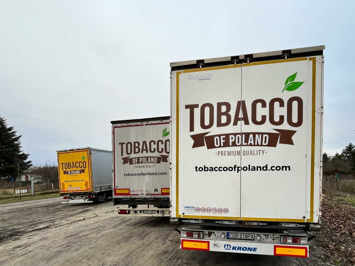 Tobacco Of Poland - Our company